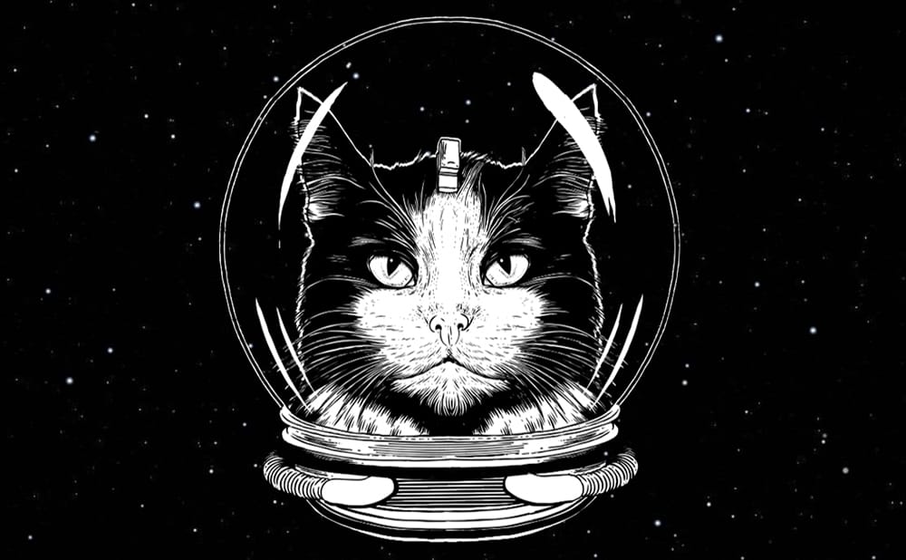 Crowdfunding a Memorial to Félicette, the First Cat Astronaut