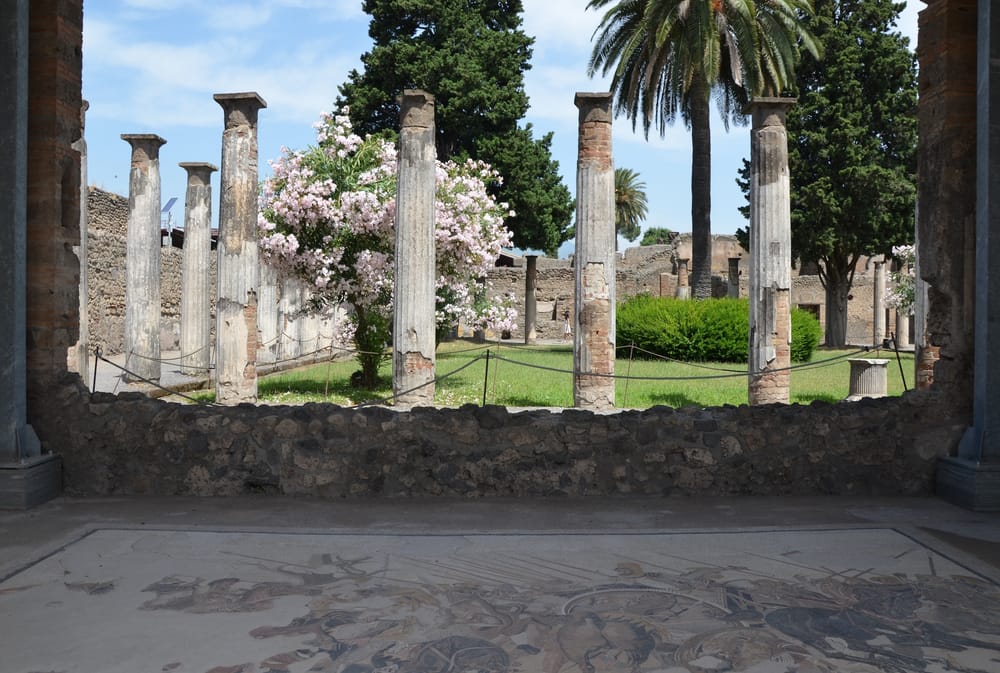 Why Are We Still Obsessed With Pompeii?