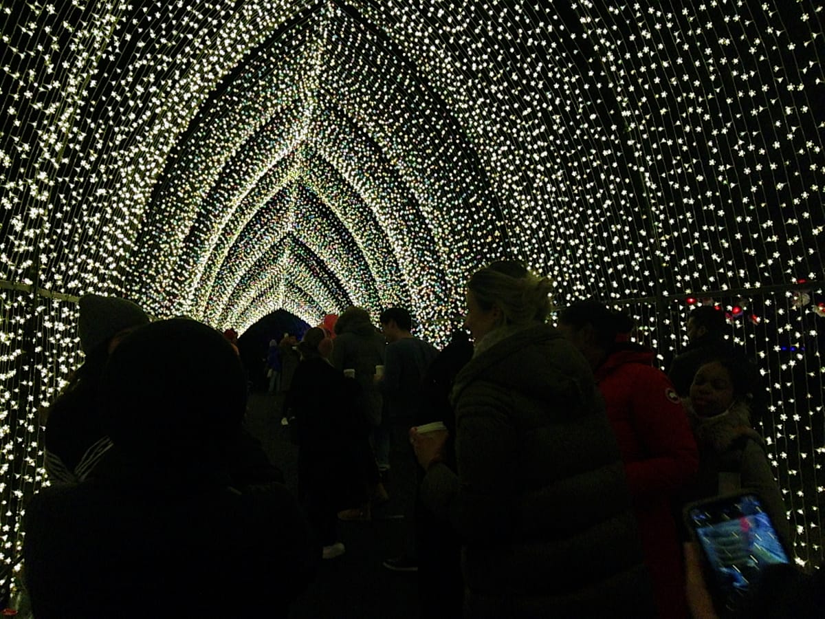 The Costly Glow of Light Pollution