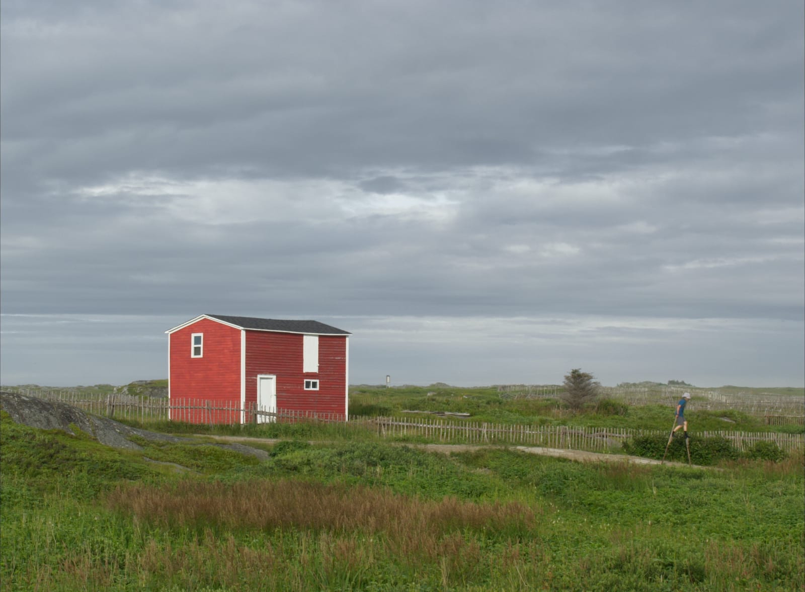 Sharon Lockhart’s Beguiling Tableaus of Children in Nature
